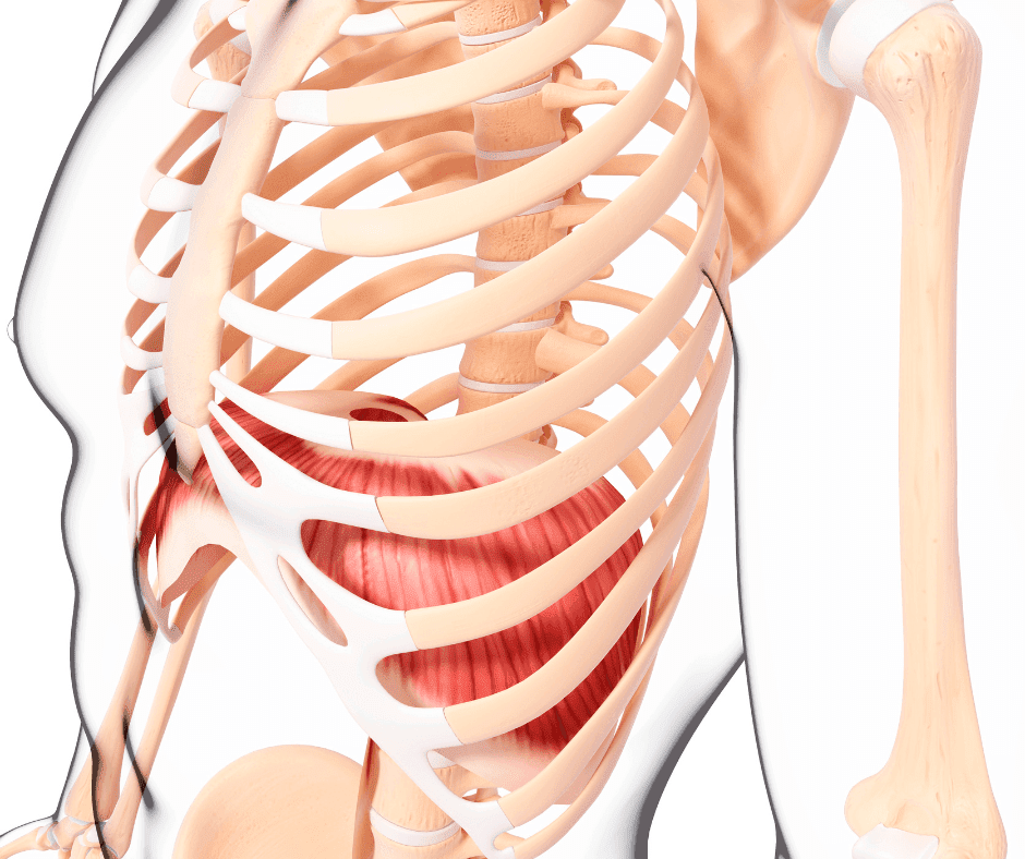 Pijn bij het ademen: wat moet je weten - De Pijnvrij Methode